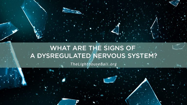 What are the Signs of a Dysregulated Nervous System?| articles